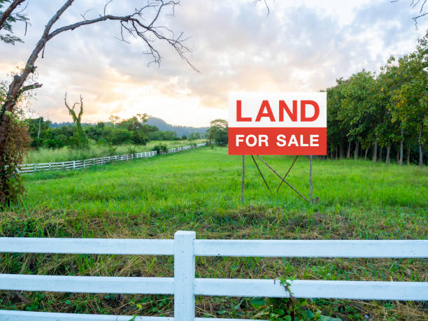 Comprar un terreno al mejor precio | Velcasa
